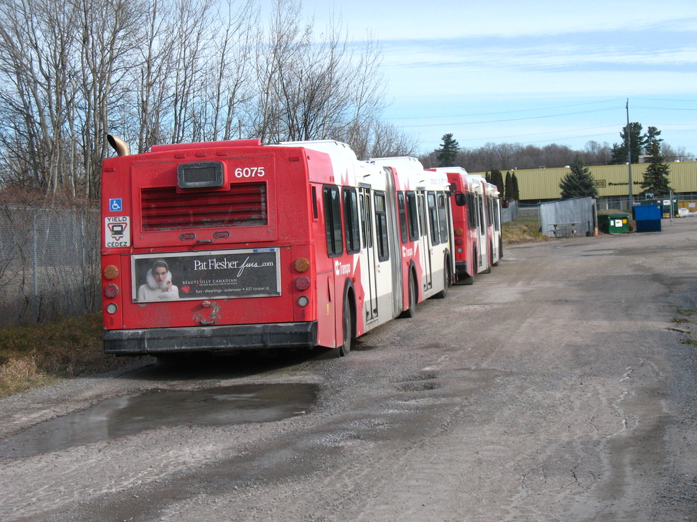 OC Transpo 2001-2004 D60LF Watch - Page 2 - National Capital Region ...