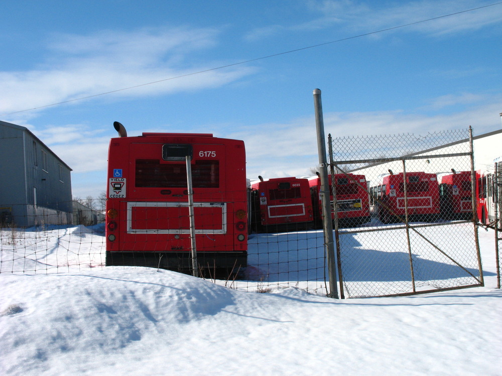 OC Transpo 2001-2004 D60LF Watch - Page 8 - National Capital Region ...