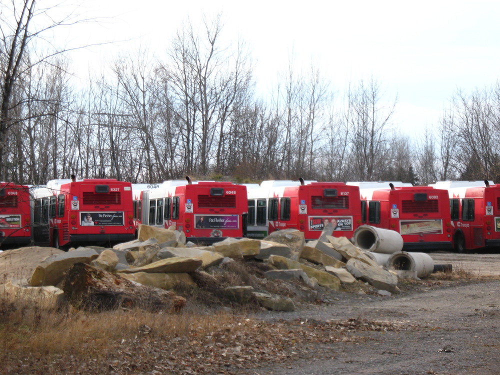 OC Transpo 2001-2004 D60LF Watch - Page 2 - National Capital Region ...