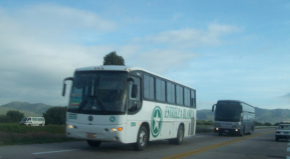 Mexican motorcoach buses - MOTORCOACHES - Canadian Public Transit ...