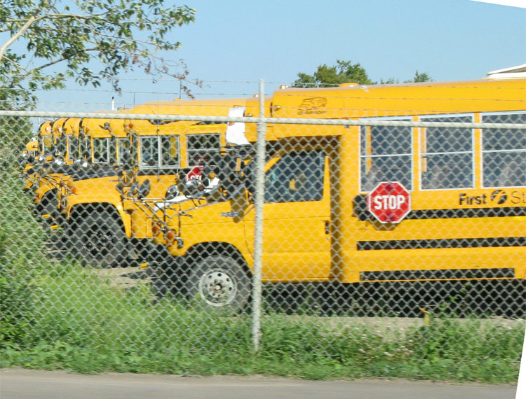 School Bus Sightings - Page 7 - Greater Edmonton Area - Canadian Public ...