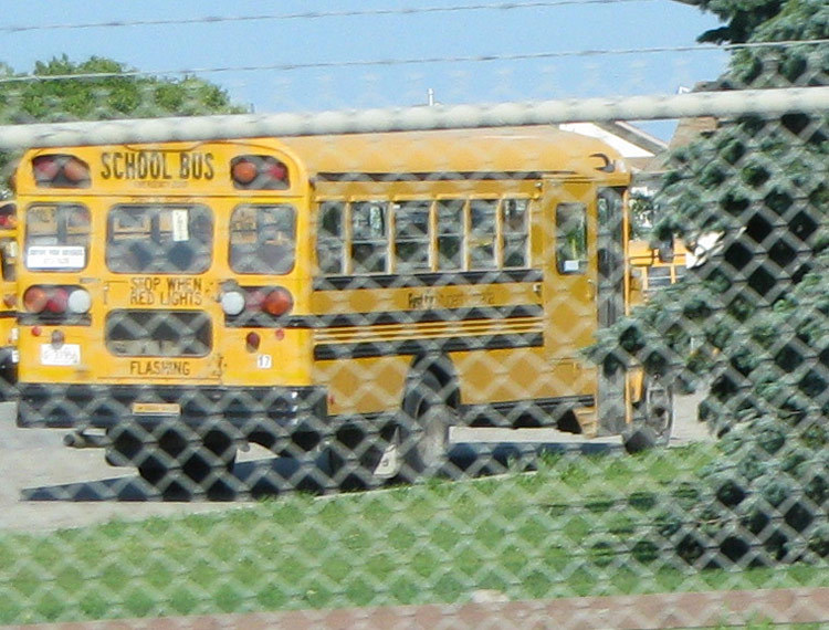 School Bus Sightings - Page 7 - Greater Edmonton Area - Canadian Public ...